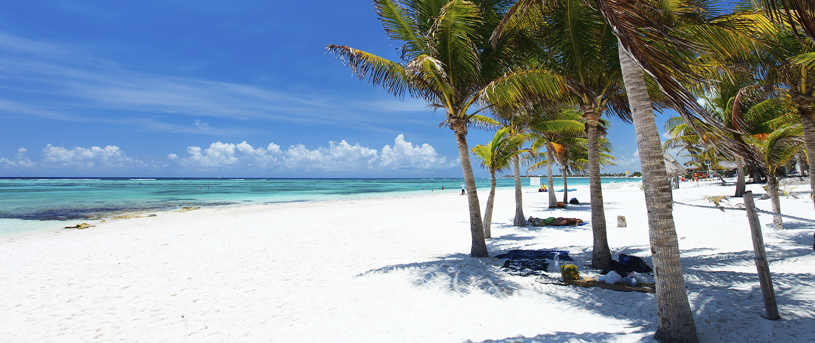 ¿Dónde queda la playa de las tortugas? - Qué Ver y Visitar 🌍