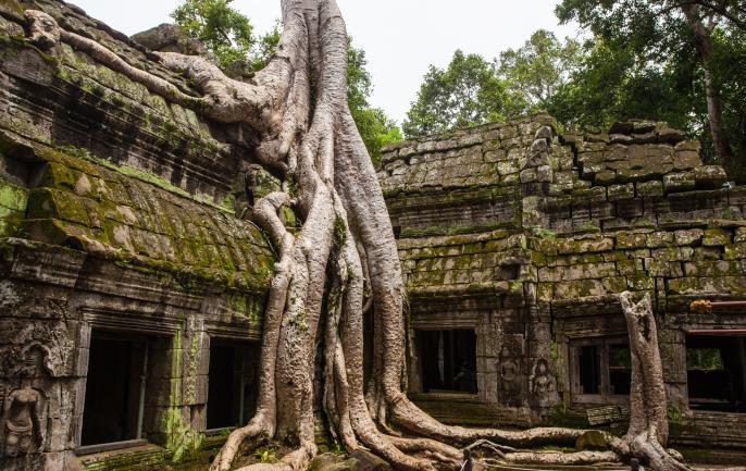 ¿Qué hacer en los templos de Angkor? - Qué Ver y Visitar 🌍